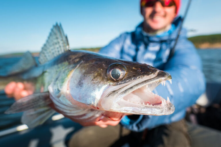 5 Tips for Taking Better Fishing Photos