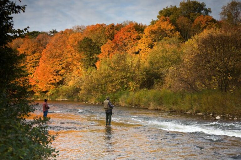 What Makes Fall a Great Season for Fishing - Lawrence Bay Lodge